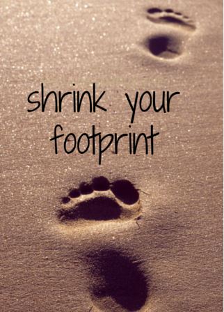 Make an Earth Day Pledge to Reduce Your Carbon Footprint ...