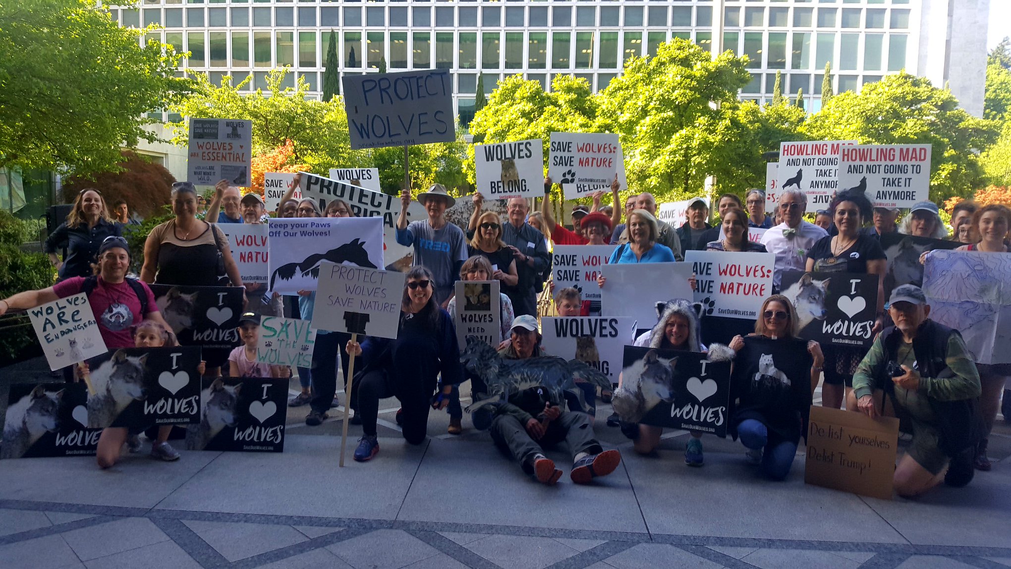 Donate to Animal Charities: The Best Animal Nonprofits in America ...