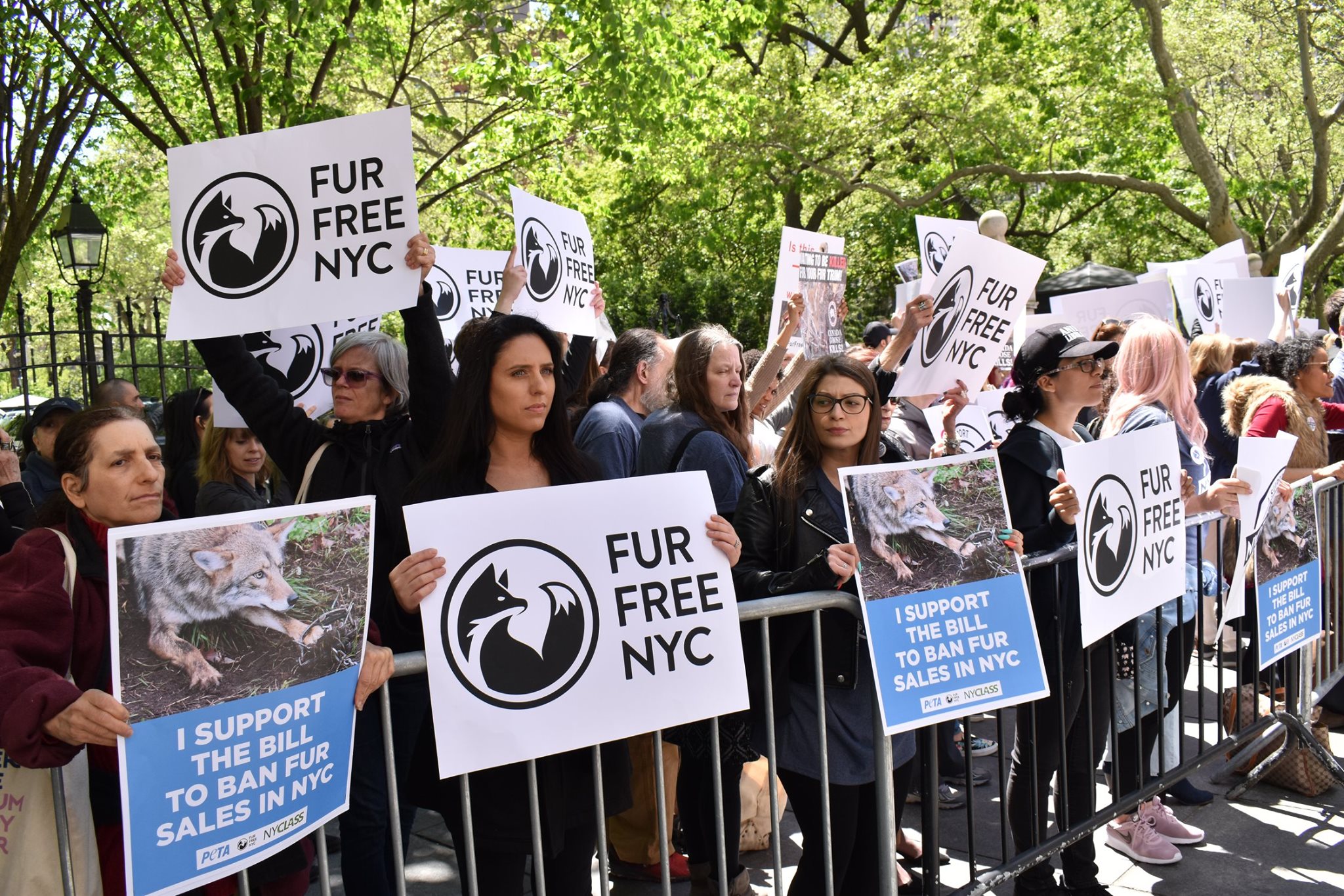 Donate to Animal Charities: The Best Animal Nonprofits in America ...