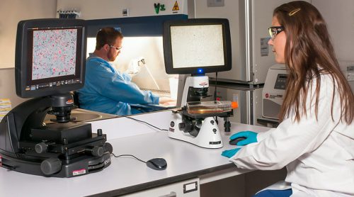 The Nation’s Best Cancer Research Organizations | GreatNonprofits Blog